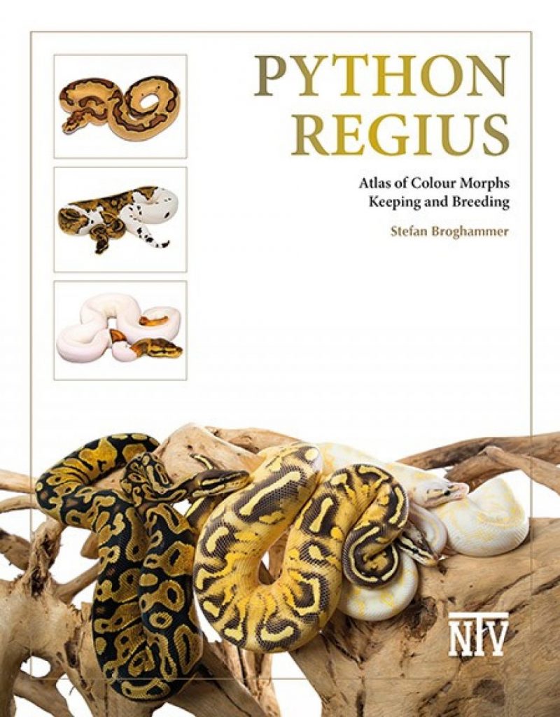 Python Regius. Atlas of colour Morphs Keeping and Breeding - Fardatxo ...