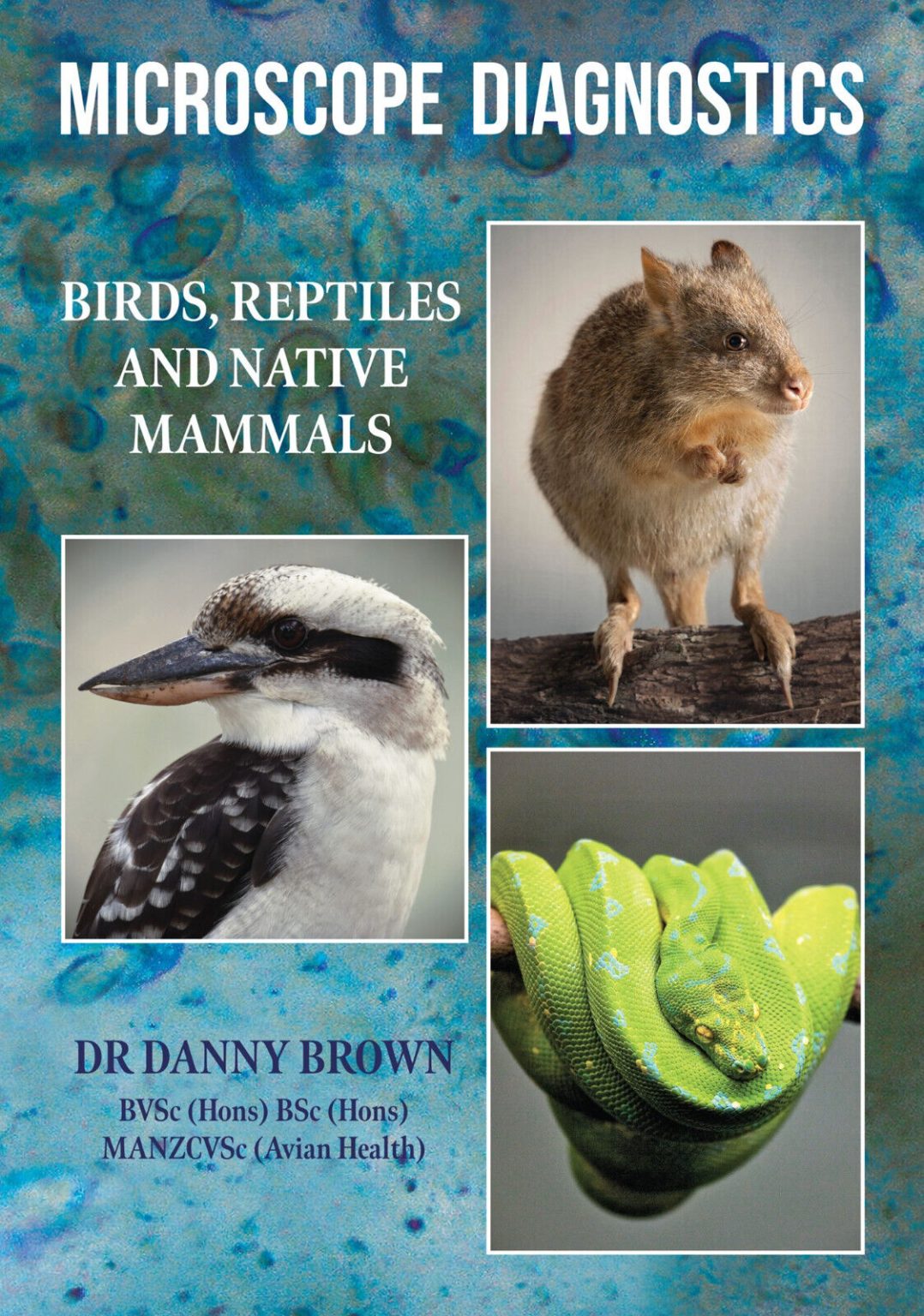 Microscope Diagnosis. Birds, reptiles and native mammals - Fardatxo ...